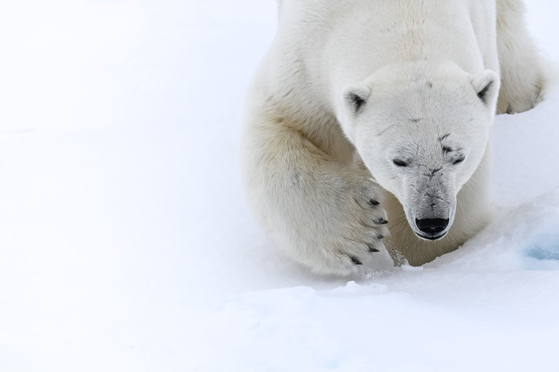 Alex Kydd | Nature, Travel & Underwater Photography – Alex Kydd Photo